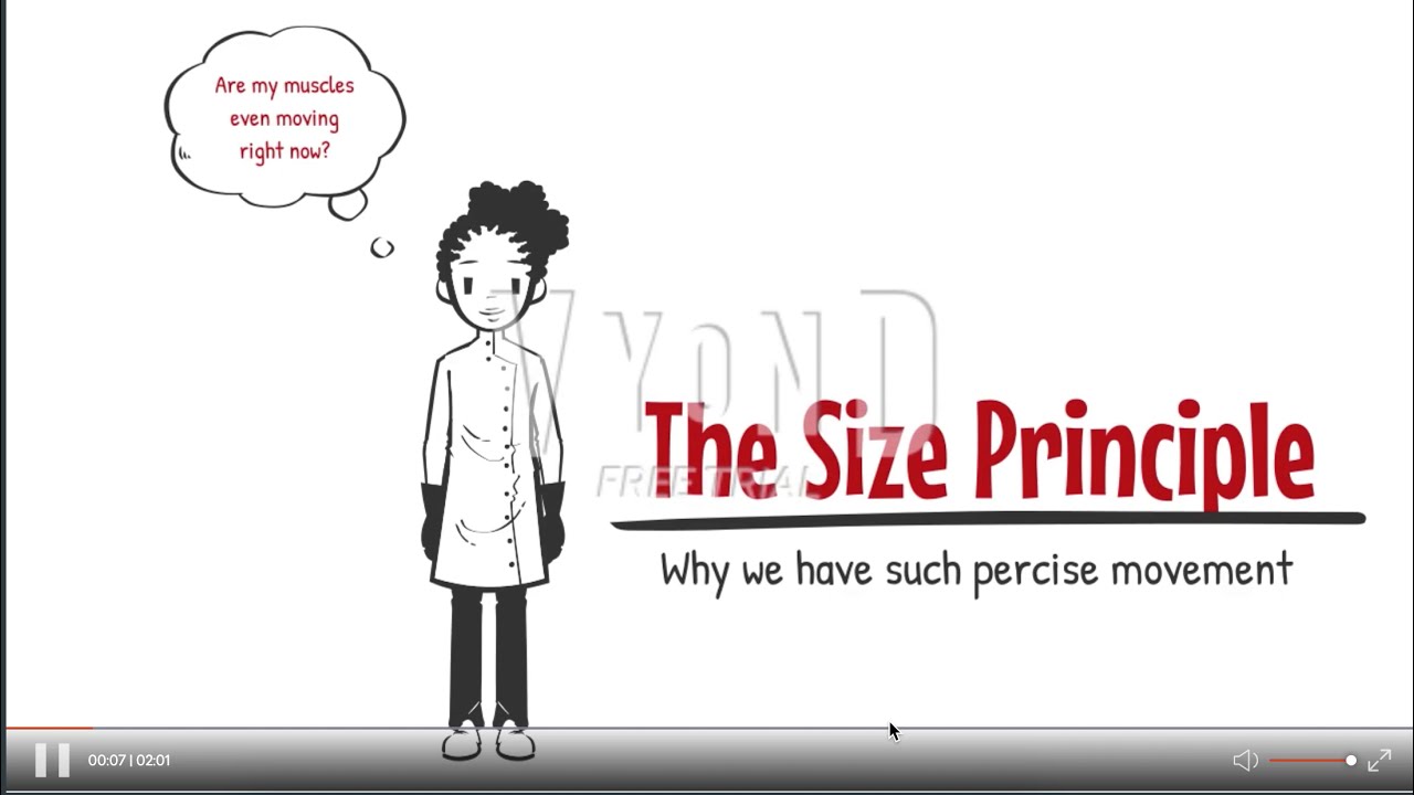 Size principle - YouTube