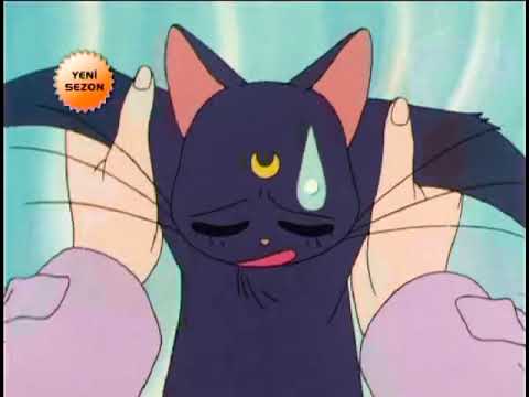 Sailor Moon - Kidz Animez Tanıtım Videosu - 2.Sezon 