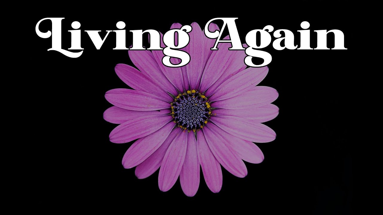 Living Again - YouTube
