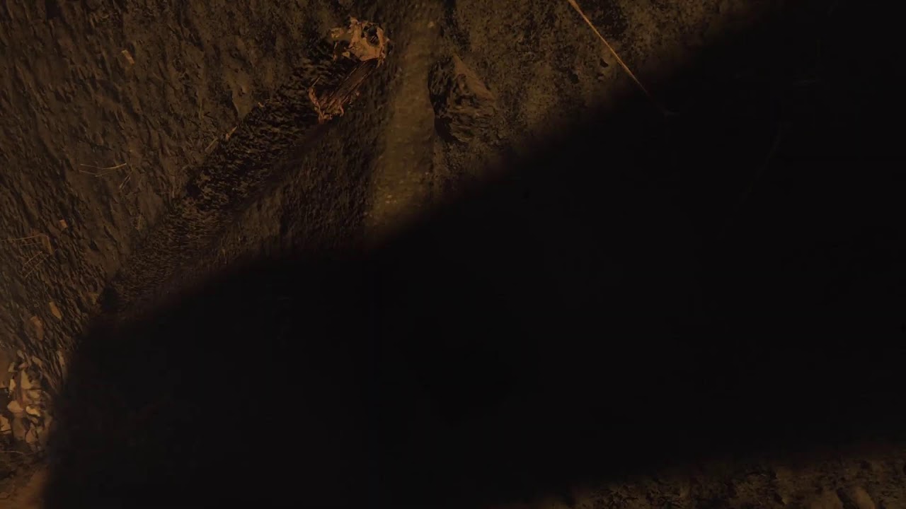 Into The Radius/Будь в радиусе PS5 Vr2 - YouTube