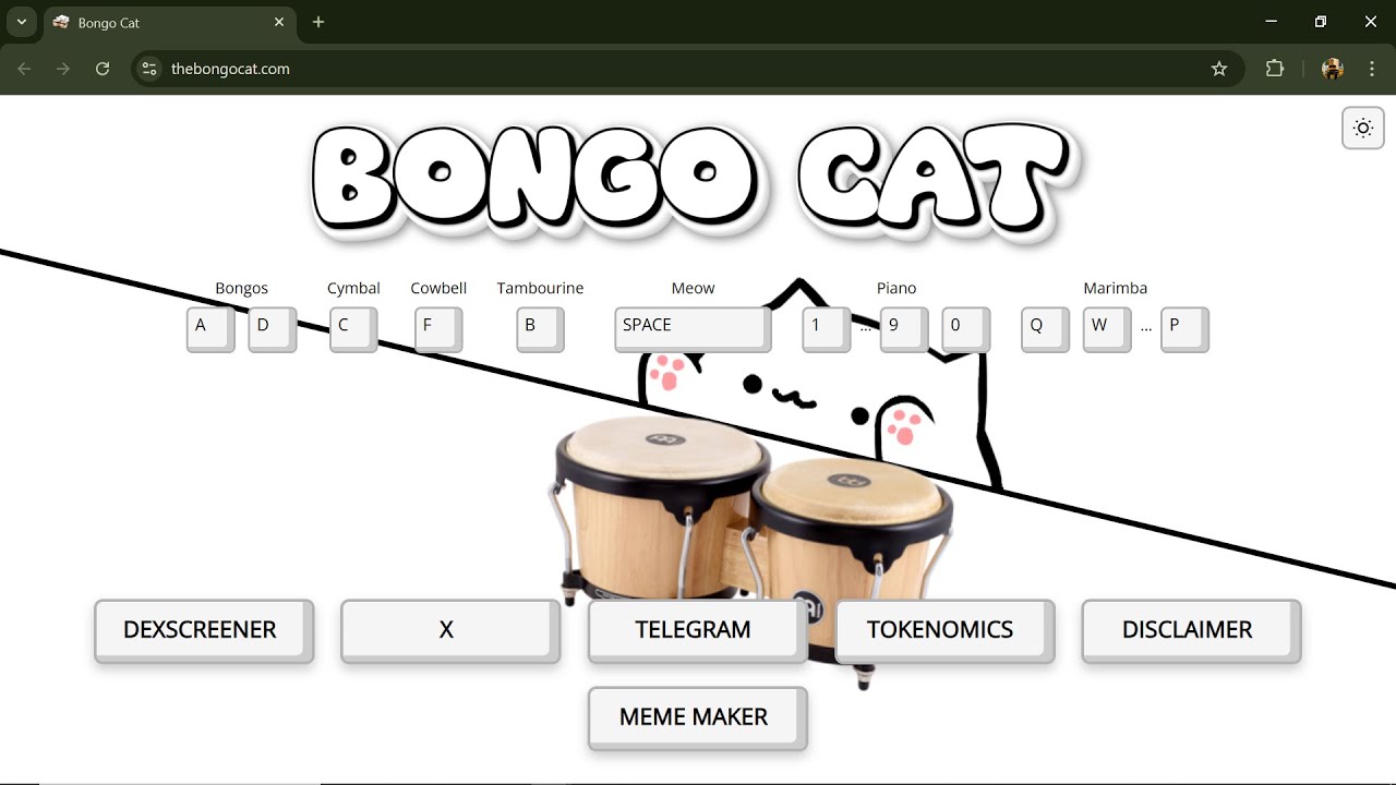 What is Bongo Cat ($BONGO) Token Coin | Review About $BONGO Token - YouTube