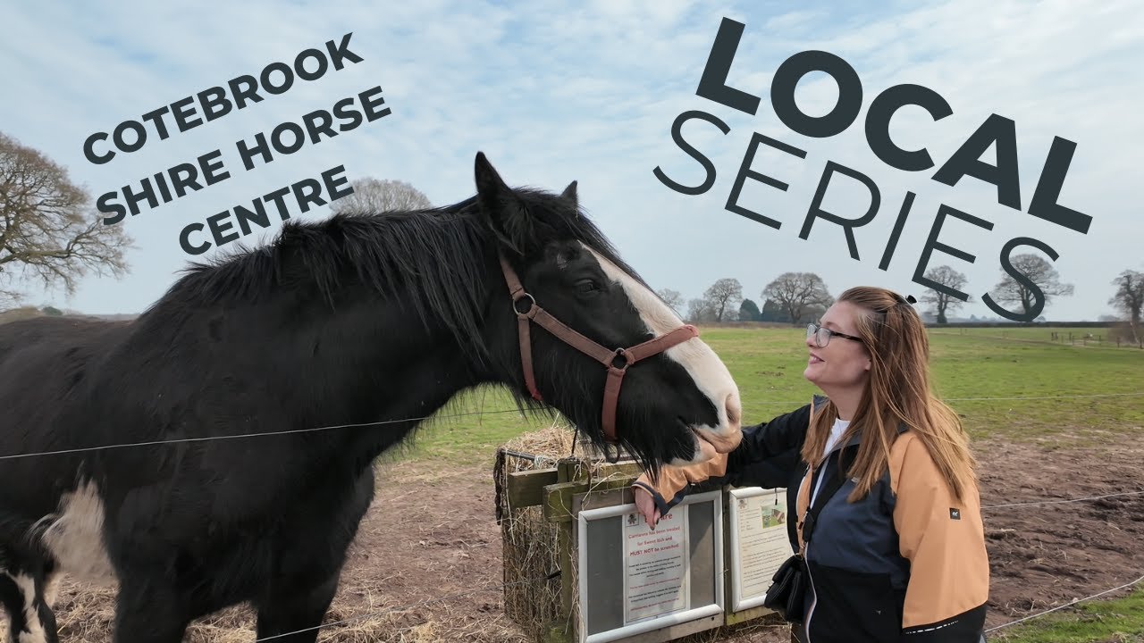 Local Series - Cotebrook Shire Horse Centre - YouTube