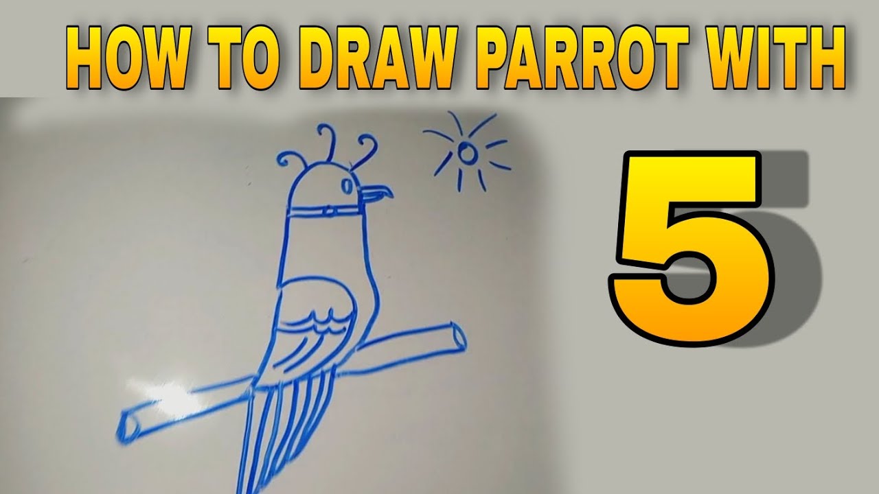 How to draw Parrot with number 55 | Easy drawing | - YouTube