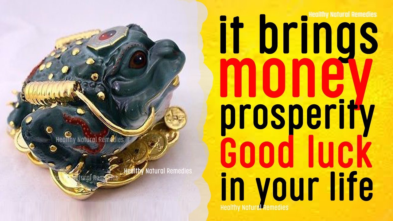 This thing brings money prosperity and Good luck in your life | Feng ...