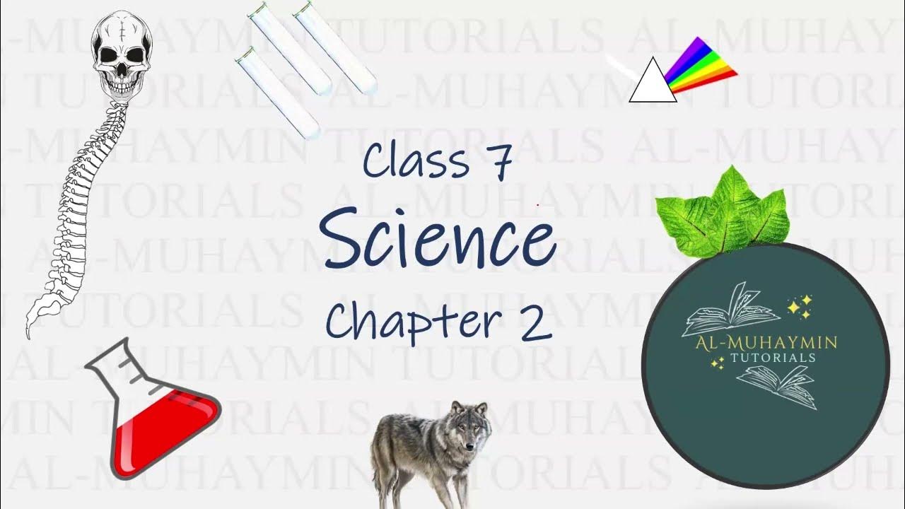 Nutrition in Animals class 7 science chapter 2 (part 2) - YouTube