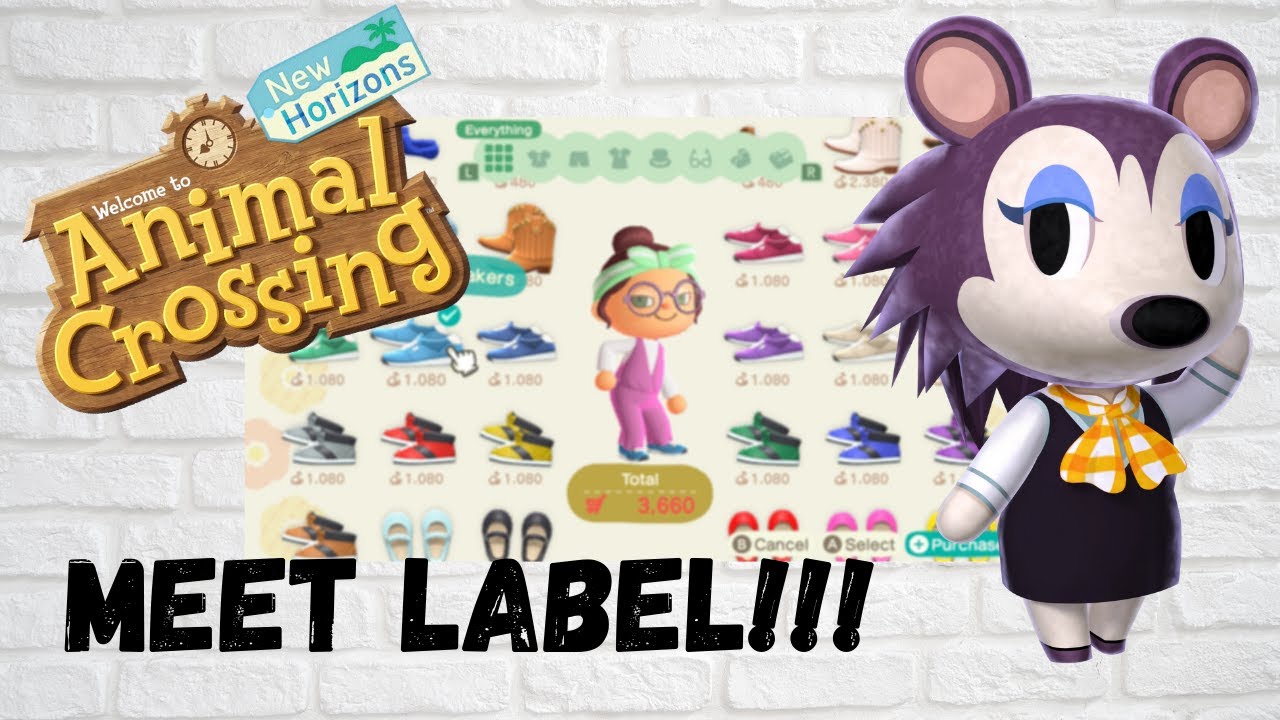 Meet Label and go visit a Mystery Island | Animal Crossing: New ...