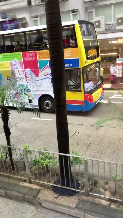 PP1750:城巴969#香港巴士 #hkbus #ctb #城巴 - YouTube