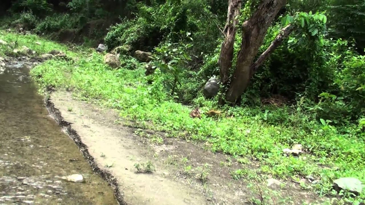 Lake Balanan - Siaton - Negros Oriental - Philippines 3 - YouTube