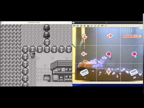 Fish Plays Pokémon, nouvelle sensation Twitch - YouTube