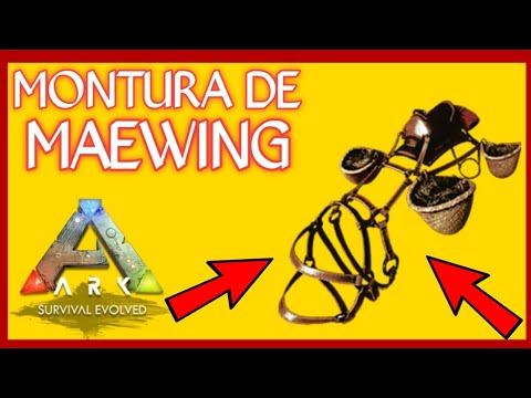 🛑Como hacer la MONTURA de MAEWING y a que NIIVEL se DESBLOQUEA🛑 ARK ...