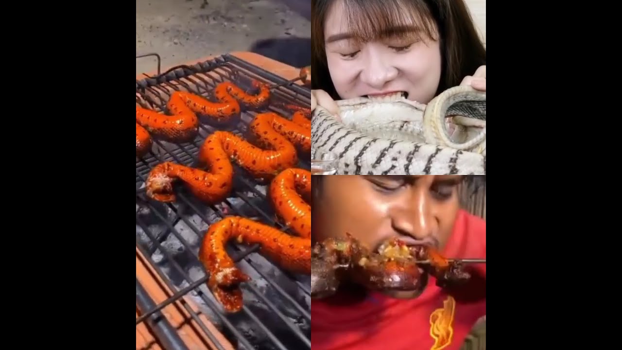 Chinos comen serpientes asmr mukbang-Chinese eat snakes- show de ...