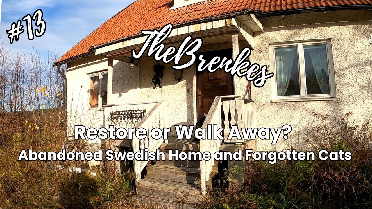 We Found an Abandoned House with Forgotten Cats in Sweden – Now What ...