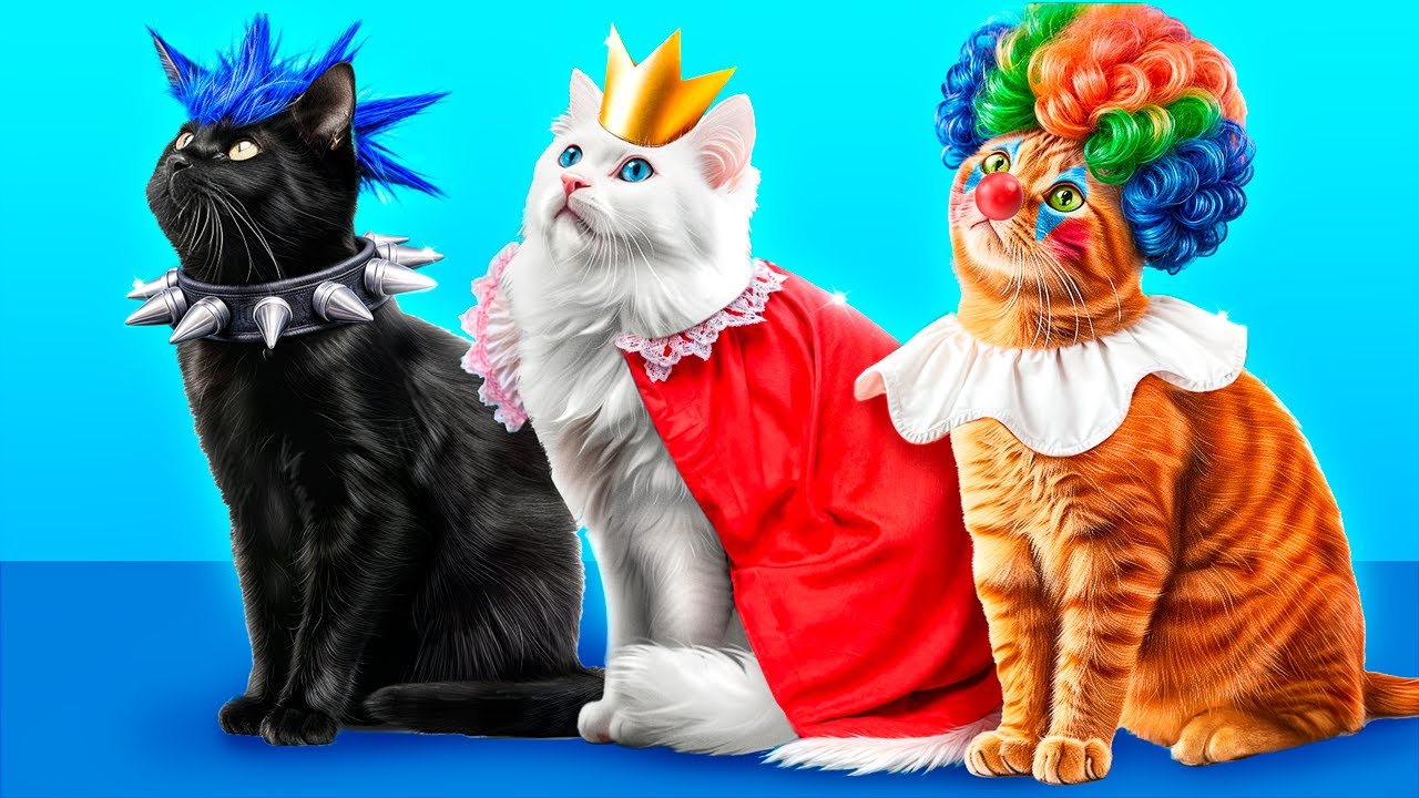 Good Cat vs Bad Cat! Life of Different Pets - YouTube