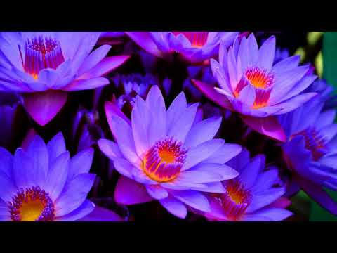 2018 Müziksiz ilahiler, Yeni Karışık İlahiler, Duygusal İlahiler 2018