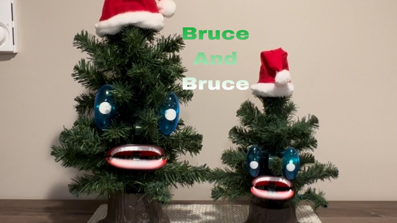 Bruce The Spruce Duo - YouTube