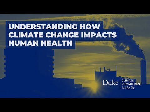 How Does Global Warming Impact Humans