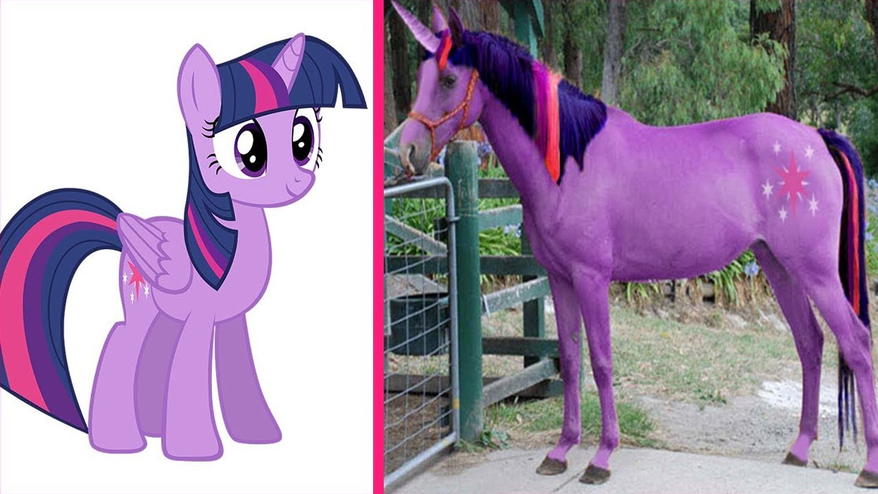Así se Verían Los Personajes de My Little Pony en la Vida Real - YouTube