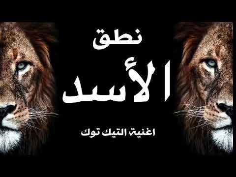 اجمل اغاني حزينه جدا مطلوبه تيكايا تيما ياتسا ريتسا🤗🐼