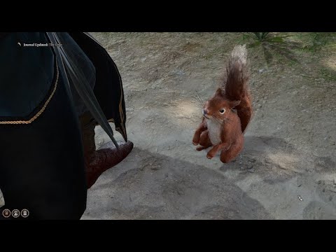Baldurs Gate 3: The Dark Urge kicks the Squirrel - All Companion ...