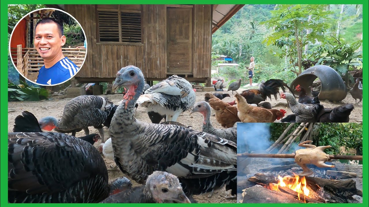 MAG LECHON NAMAN TAYO NG GANSA PANG-HAPUNAN/NALIPAT NA NAMIN SA BAGONG ...