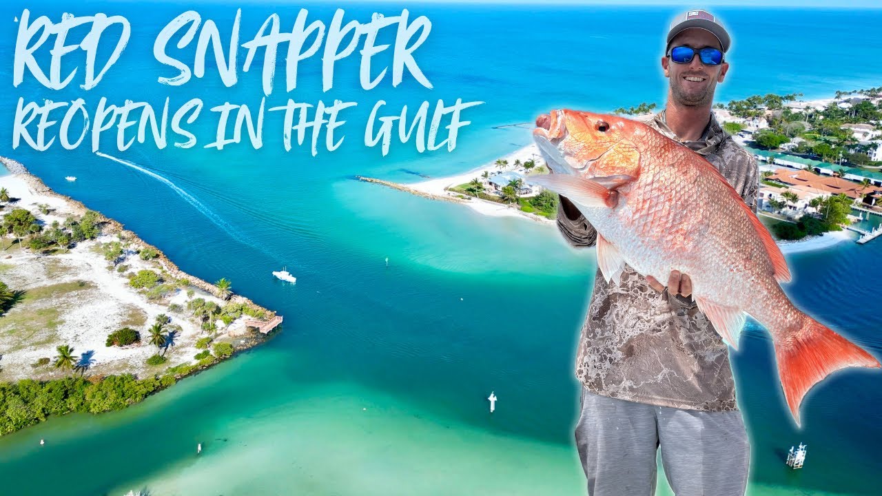 RED SNAPPER MADNESS FULL LIMITS | FALL FISHING IS THE BEST - YouTube