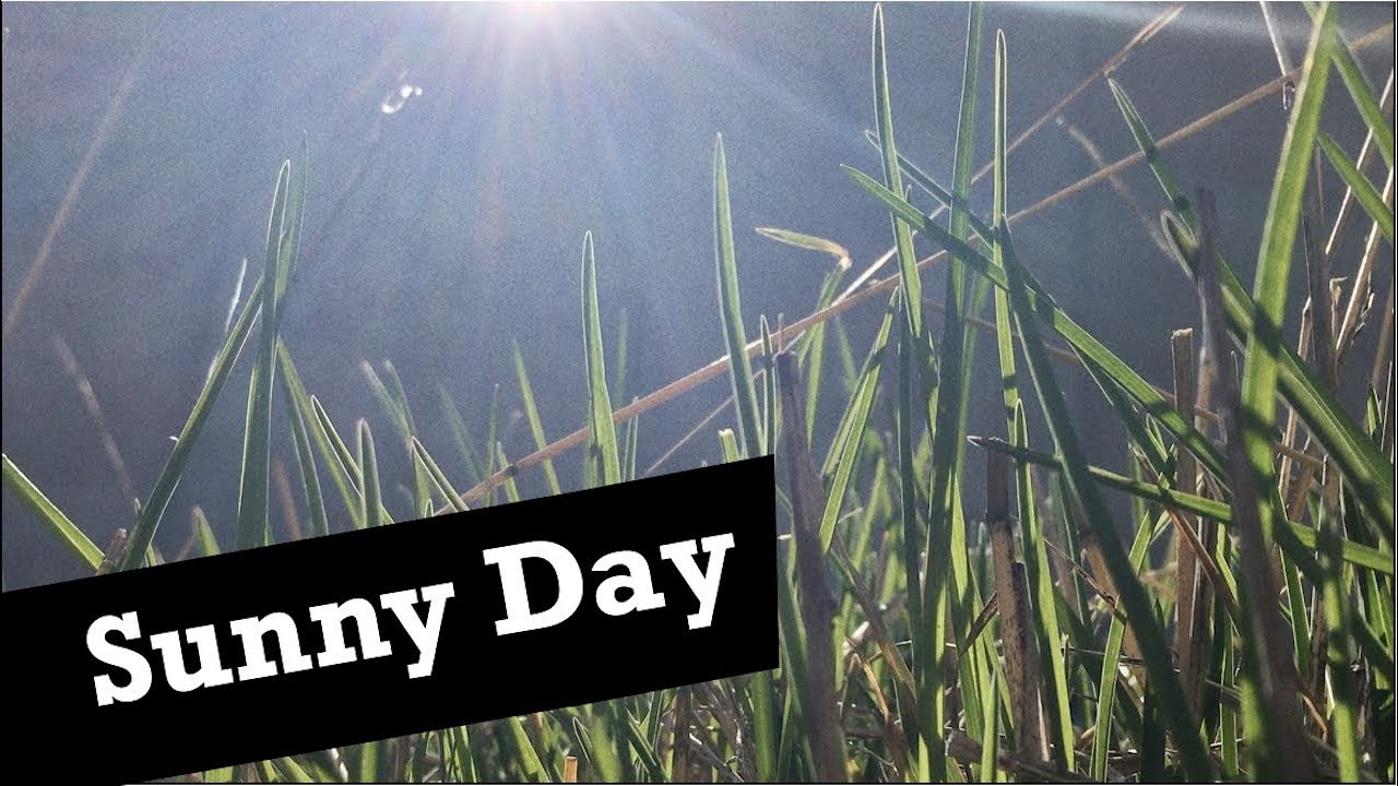 Finally a Sunny Day - YouTube