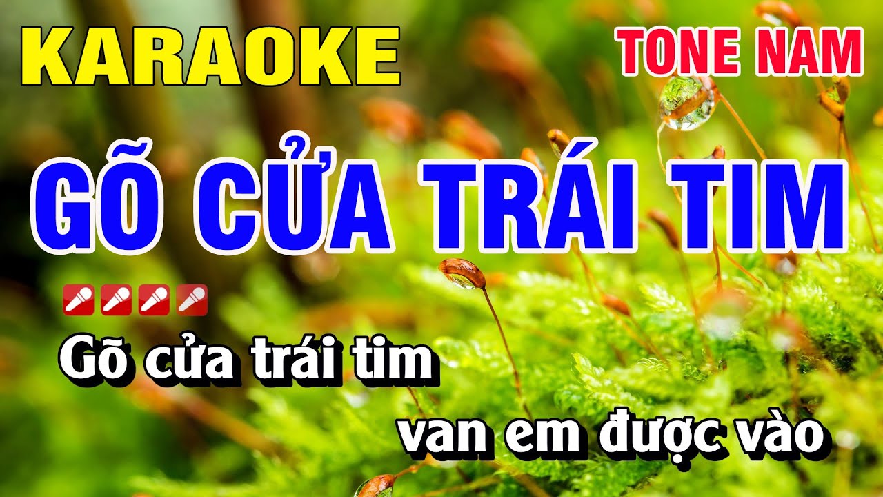 Karaoke Gõ Cửa Trái Tim Tone Nam Nhạc Sống | Nguyễn Linh - YouTube