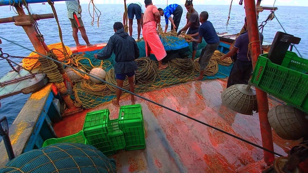 Pate 41 10 MILLION BIG FISHES AND SAMUNDAR River Fish Everyday caught ...