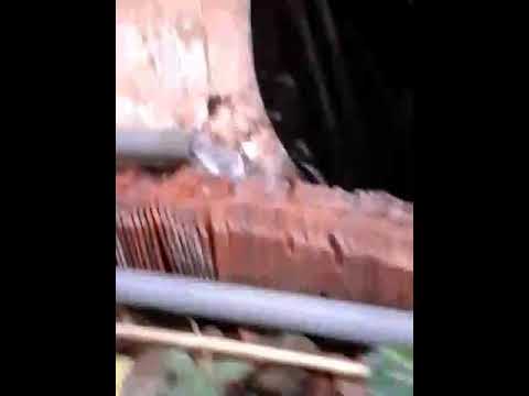 Kontol gede - YouTube