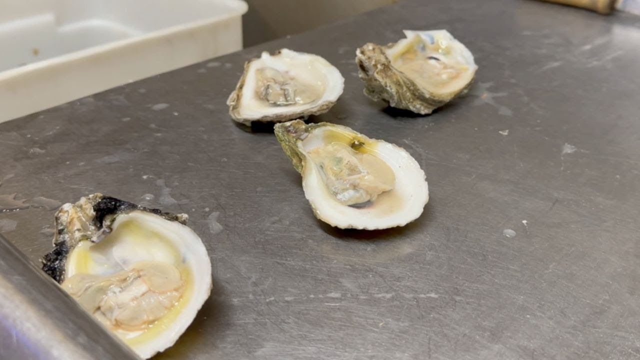 'They got recalled': A health warning has been issued that links to raw ...