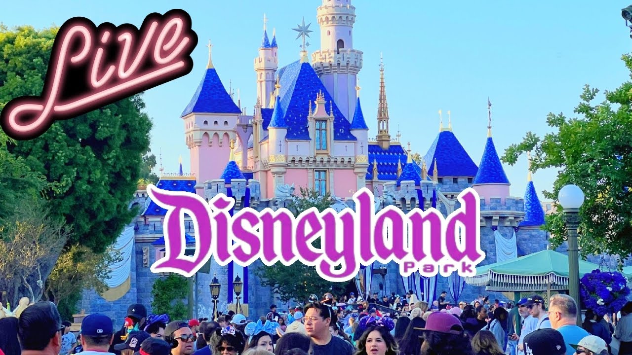 🔴Live! What are the CROWDS like on the weekend at Disneyland? - YouTube