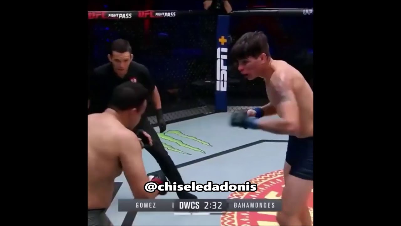 Fighters Clocked Out Expeditiously | Chiseled Adonis - YouTube