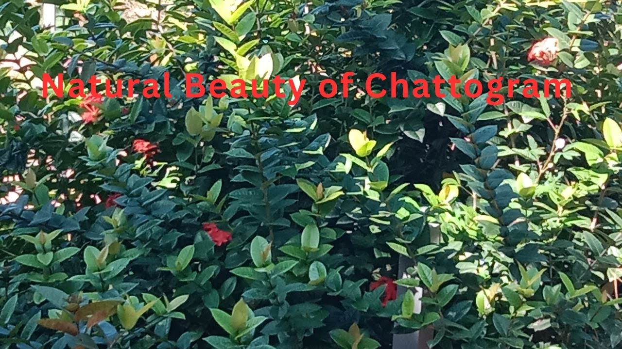 Natural Beauty of Chattogram - YouTube