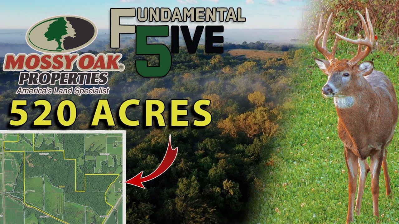 One of Our Largest Properties Yet! 520 Acres in Iowa! | Mossy Oak ...