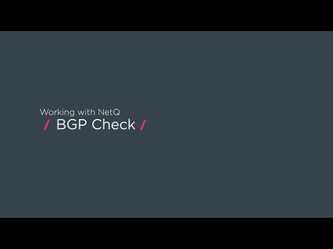 Working with NetQ: BGP check