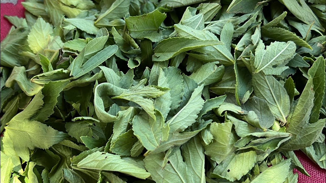 How to prepare emalakanyi/ malakwang (pasted veggies from teso) - YouTube