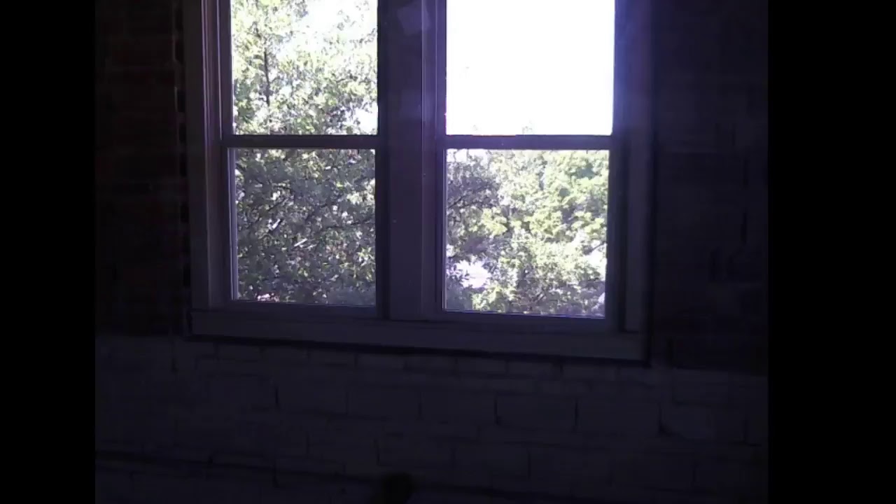 Ryan Kana Live Stream - YouTube