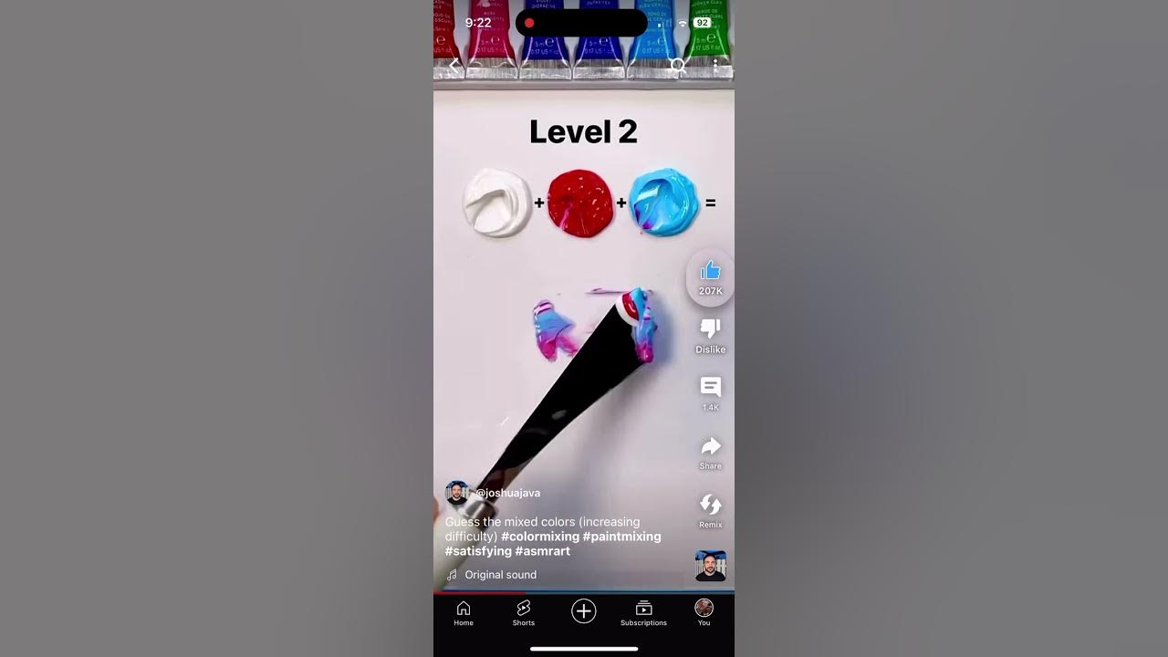 Top 6 My Favourites Joshua Java’s Shorts | Paint & Art Mixing ...