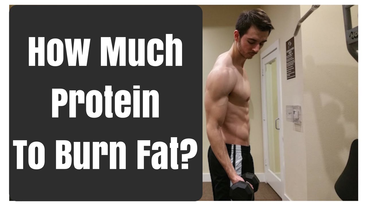 How Much Protein Should You Eat to Burn Fat/Lose Weight? - YouTube