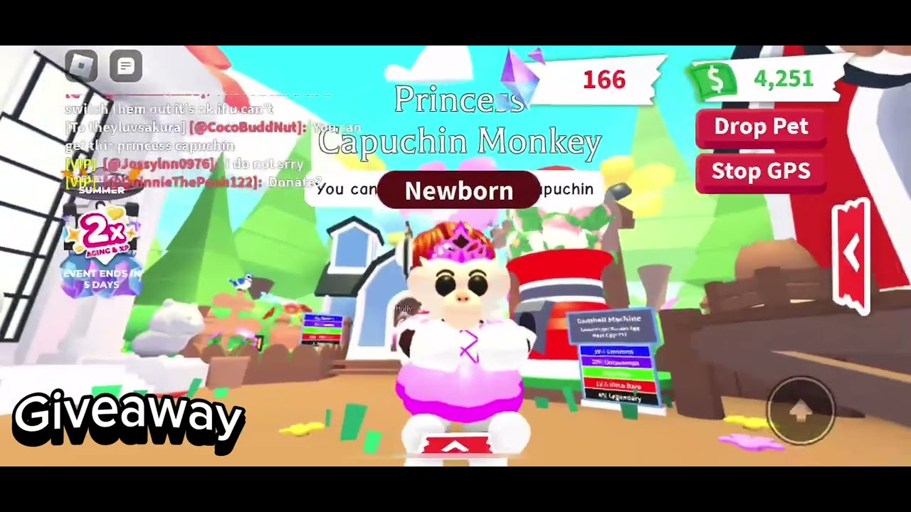 My first giveaway: Get a princess capuchin for free. (CLOSED) - YouTube