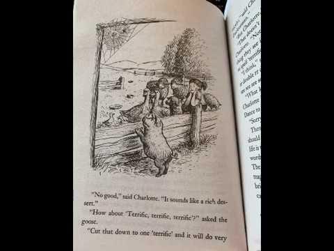 Charlotte's Web Chapter 12 - YouTube