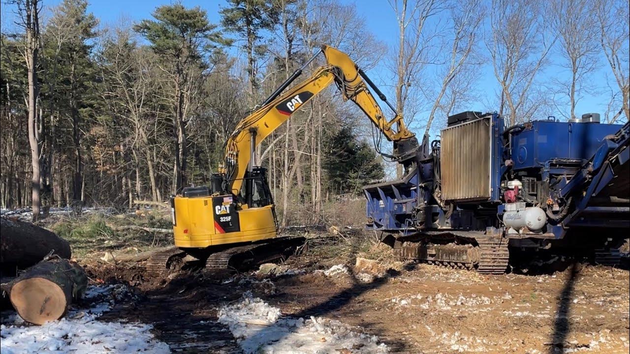 Caterpillar 325FL Excavator Sawing Pine Trees at Watrous Park - YouTube