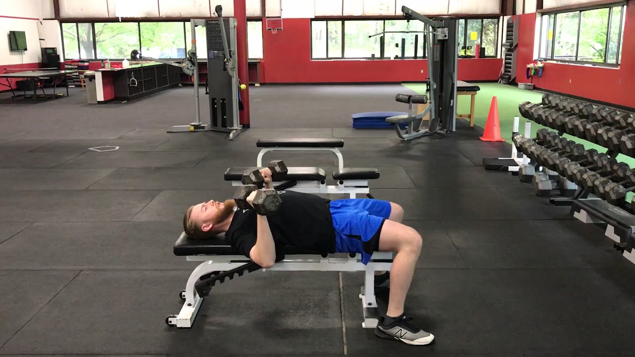 DB Bench Press - YouTube