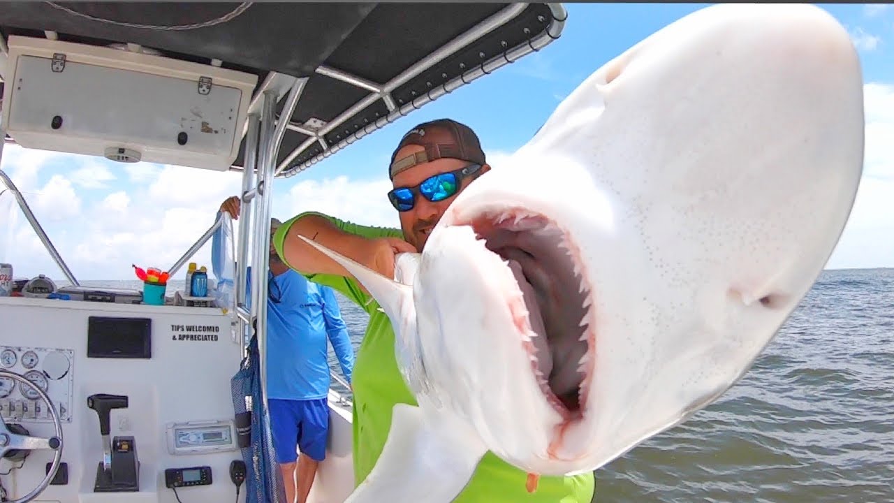 Catching HUGE SHARKS & BULL REDS | TX Coast | - YouTube