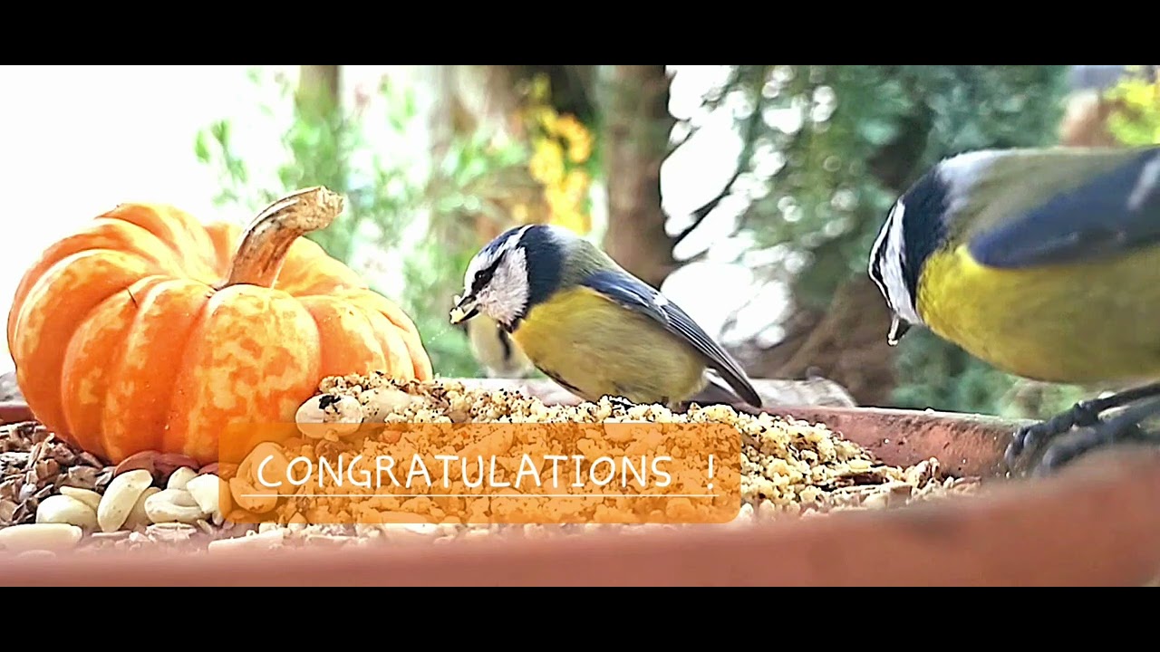 CONGRATULATIONS ! - YouTube