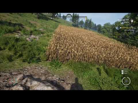 Medieval Dynasty Beginner Farming Guide - YouTube