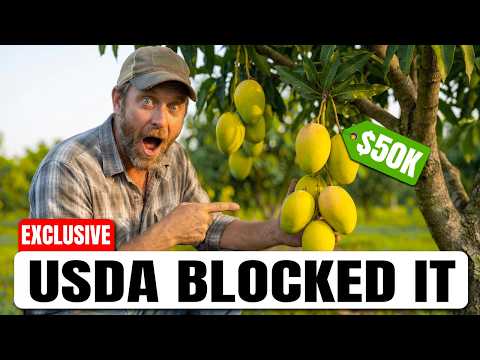 America's Native Fruit Pays $50,000/Acre. Why Did They Bury It?