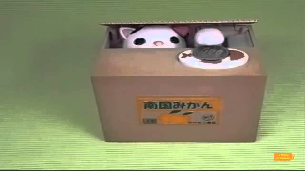 Cat Bako: La caja con vida by La Tienda del Mañana - YouTube
