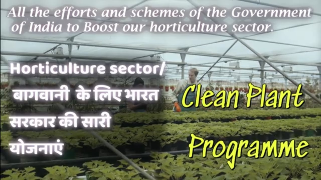 Horticulture sector in INDIA | Clean plant programme | Government ...