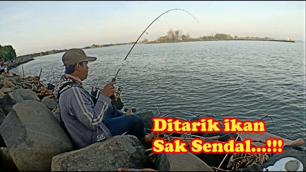 Mancing Dari Subuh Sampai Siang Dapat Ikan Sak Sendal...!!! - YouTube